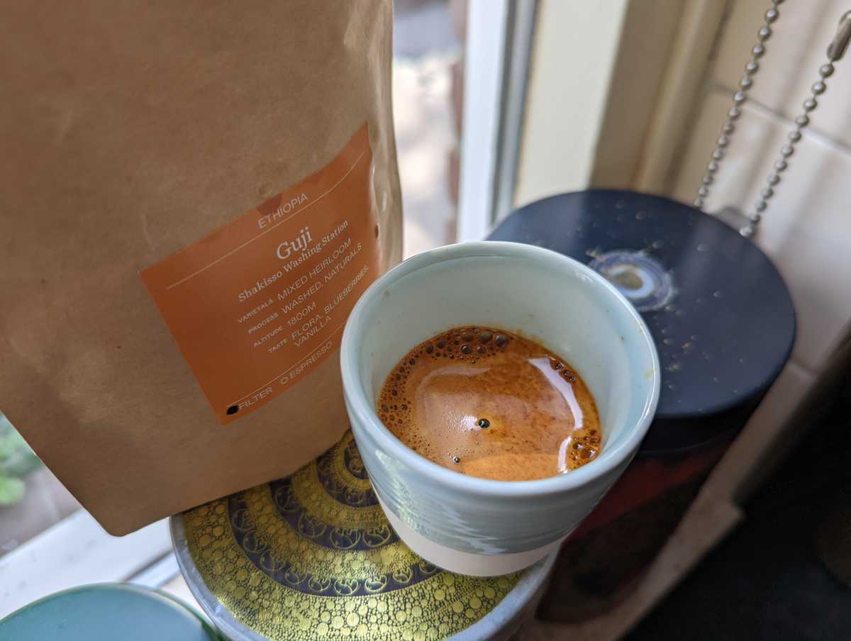 Screaming Beans Guji Filter Ethiopia 2022 | Snoffeecob