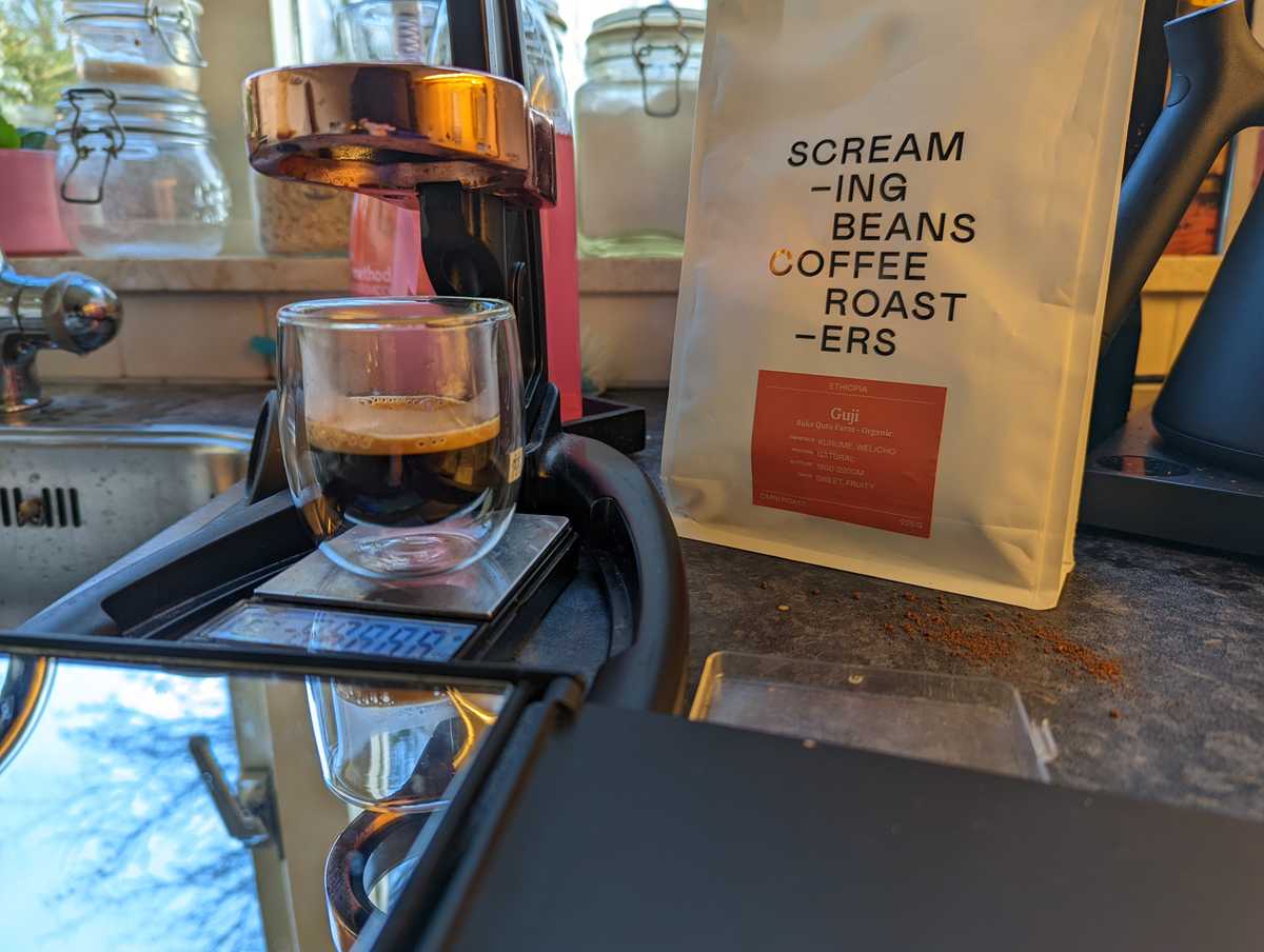 Screaming Beans Guji Ethiopia 2021 | Snoffeecob